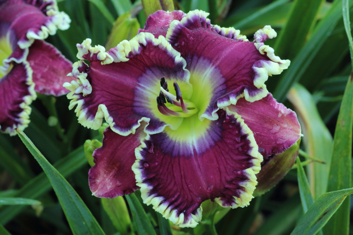 Blog - Pinewood Gardens
